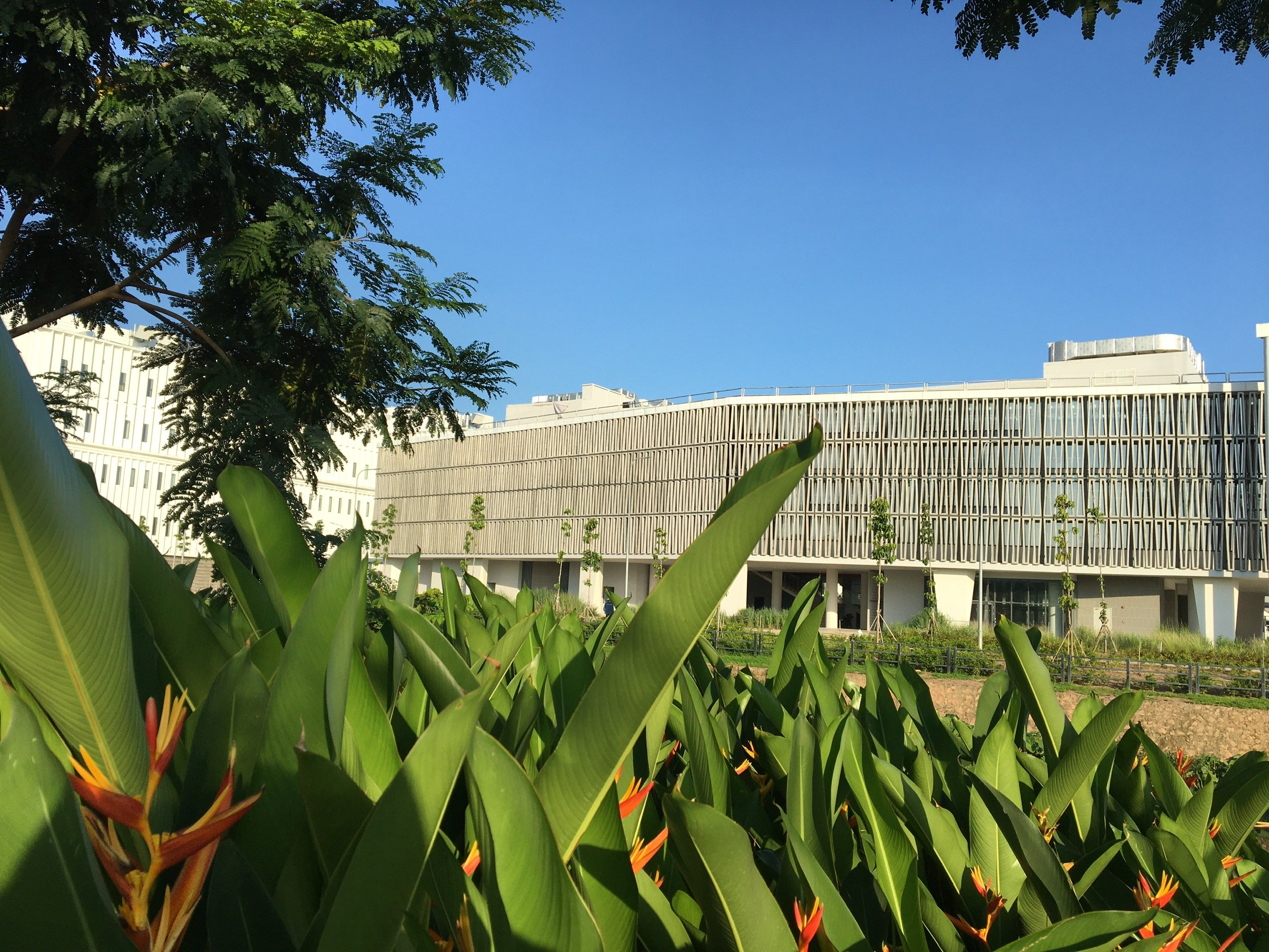 Information Literacy